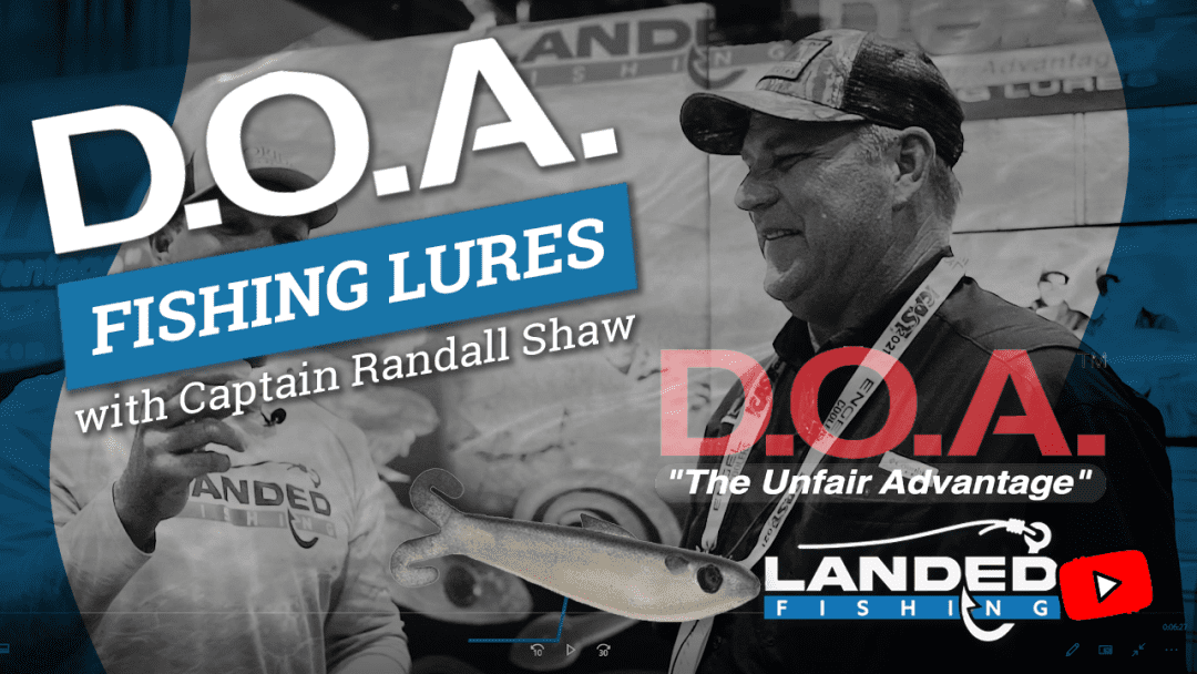 DOA Fishing Lures: A Must-have For Anglers