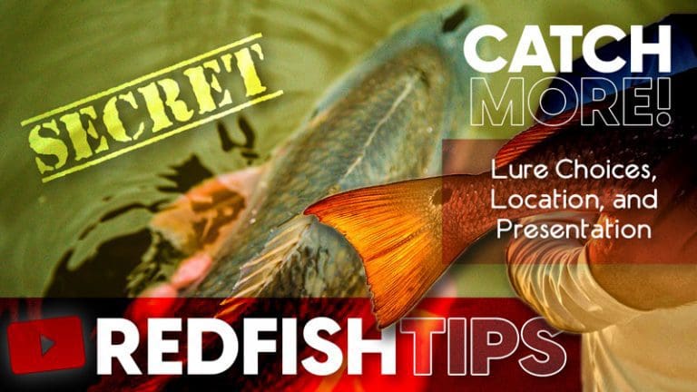 How To Catch Redfish (Red Drum) In The Gulf Of Mexico