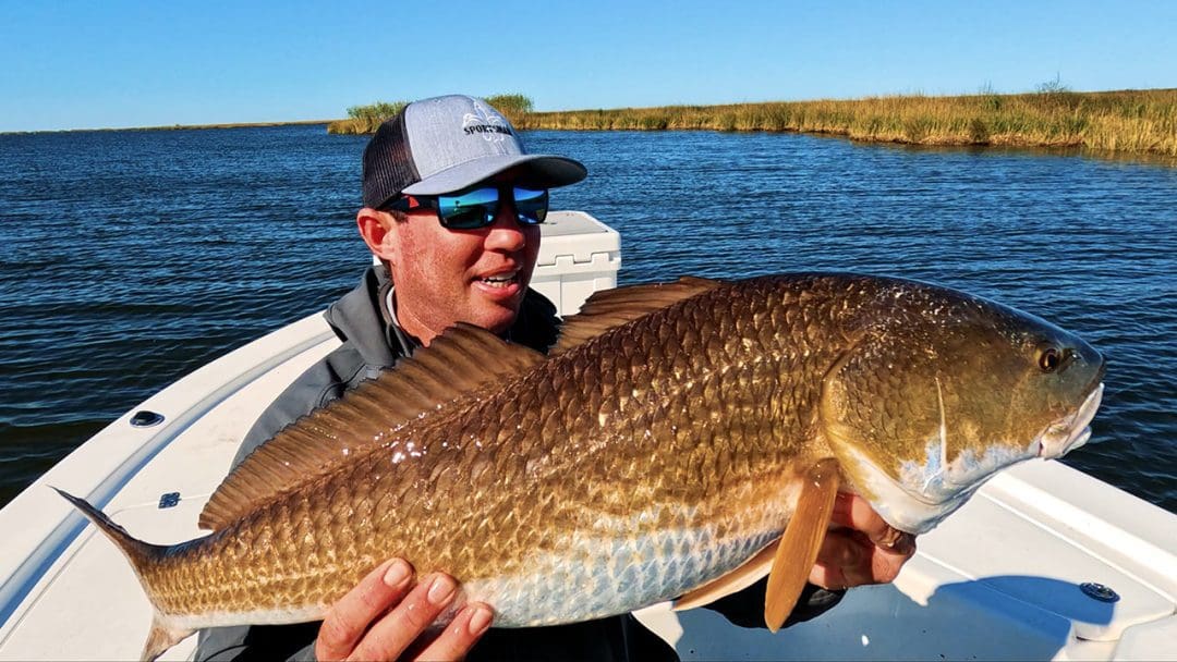 Fishing Grass Flats For Redfish (Red Drum Fishing)