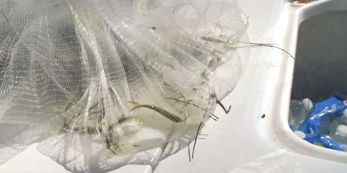 Hooked On Tarpon: Fishing Guide To Catching Giants!