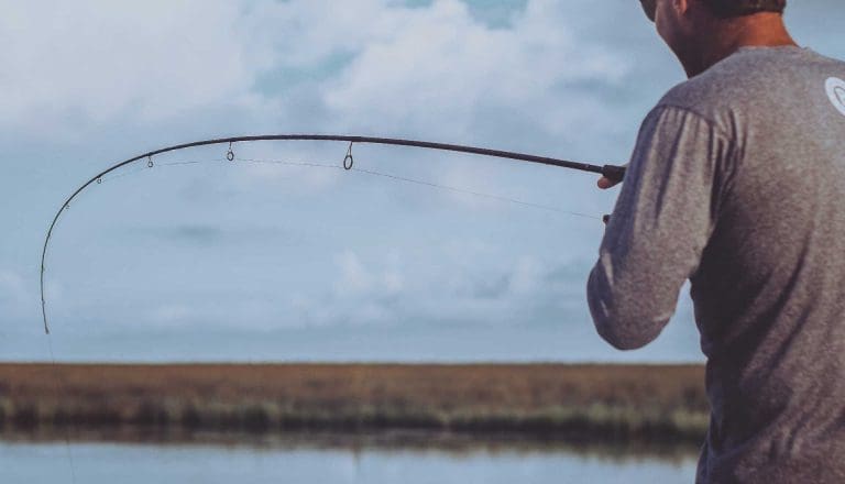 Catch More Fish: Guide To Choosing The Perfect Fishing Rod