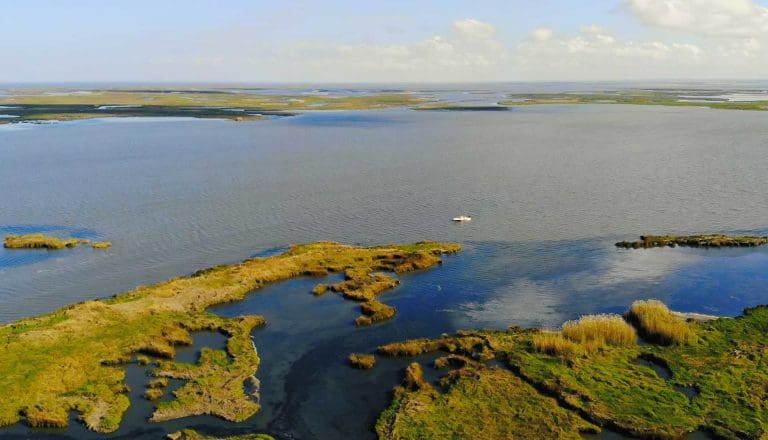 Inshore Saltwater Fishing In The Gulf Of Mexico