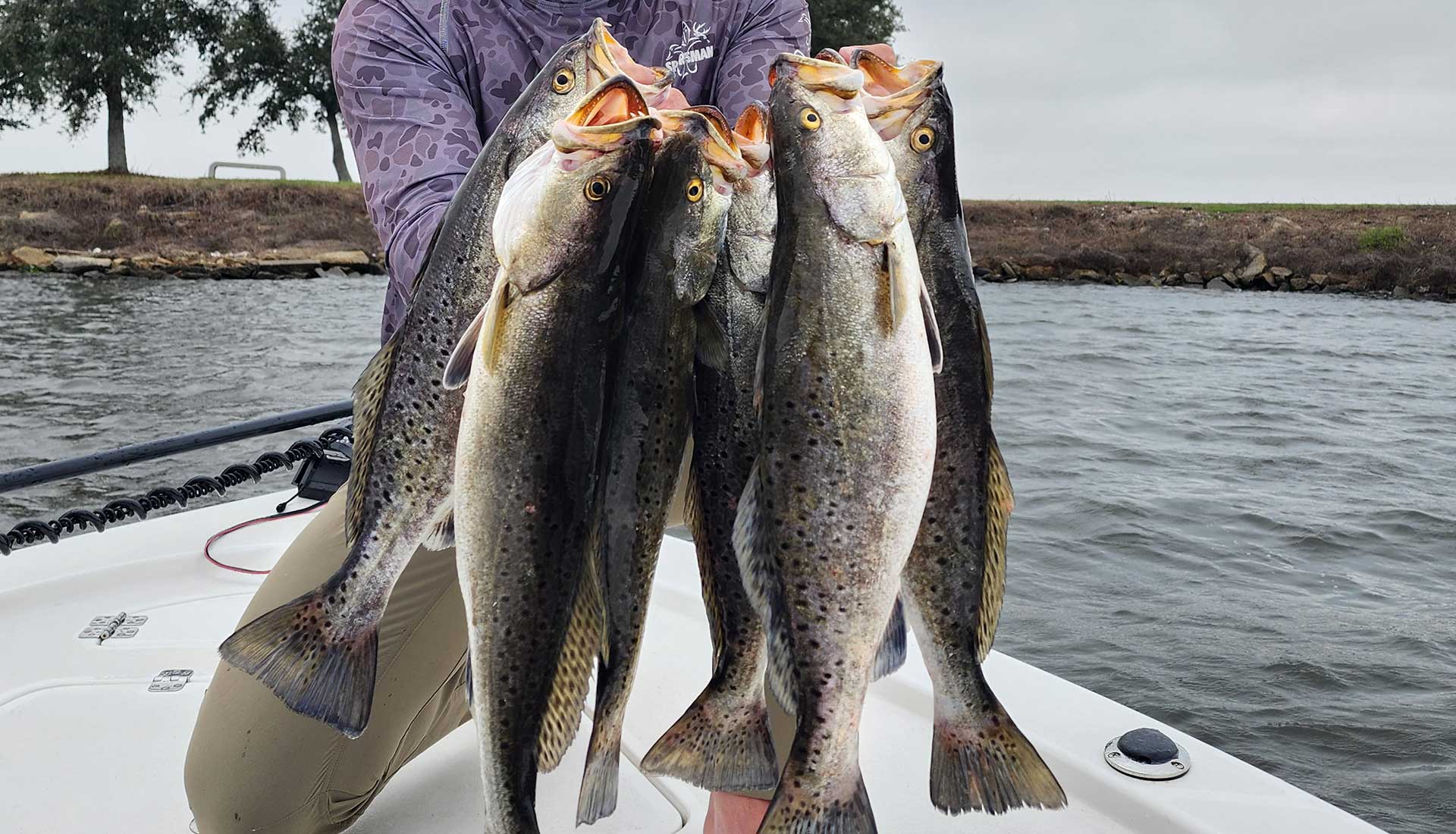 Inshore Saltwater Fishing in the Gulf of Mexico