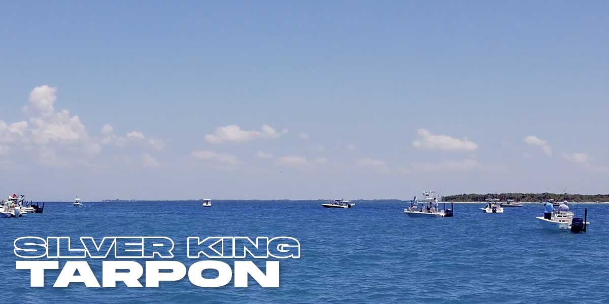 Hooked On Tarpon: Fishing Guide To Catching Giants!