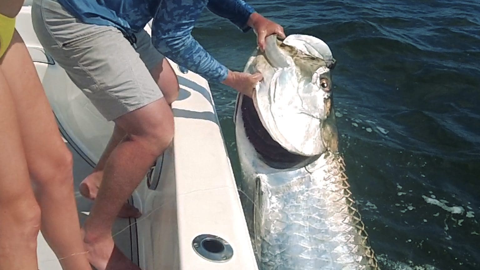 Hooked On Tarpon: Fishing Guide To Catching Giants!