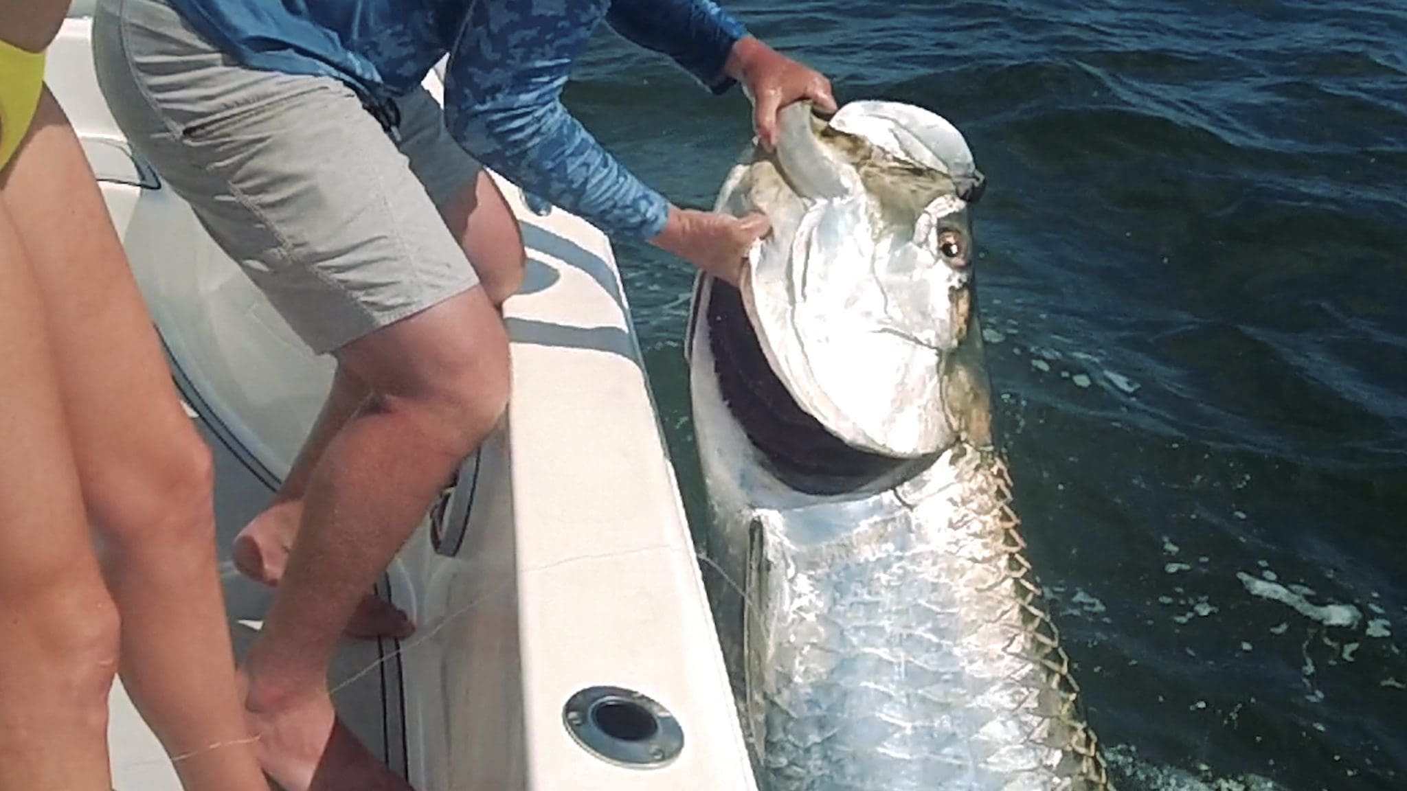 Hooked On Tarpon: Fishing Guide To Catching Giants!