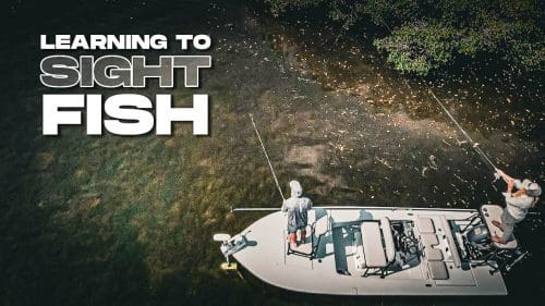 Sight Fishing: Tips And Techniques | Saltwater Anglers