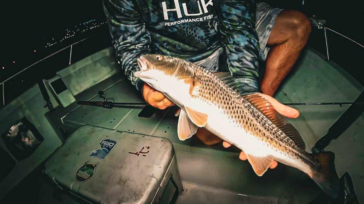 Night Fishing Dock Lights - Orange Beach Alabama | Landed Fishing