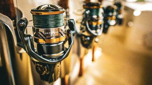 How To Catch Redfish (Red Drum) In The Gulf Of Mexico