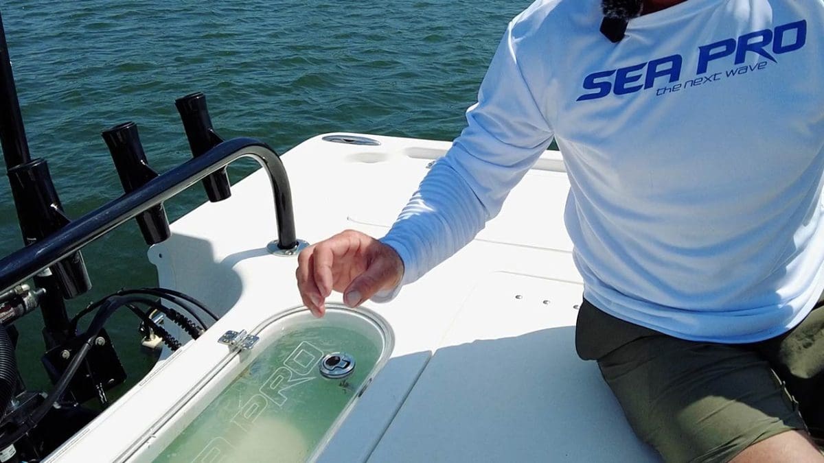 How To Use Sea Pro Live Wells For Saltwater Fishing | Landed Fishing