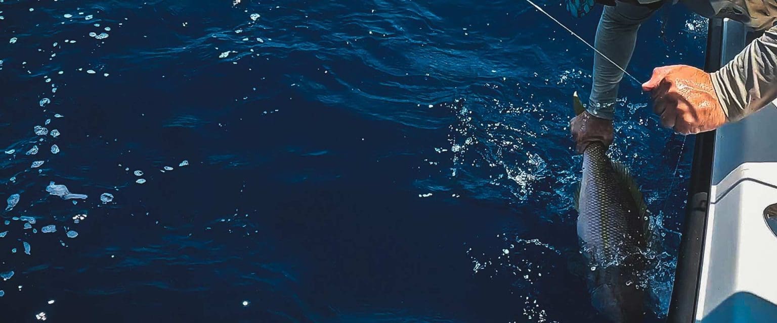 Best Saltwater Fishing Spots On The Gulf Coast | Landed Fishing