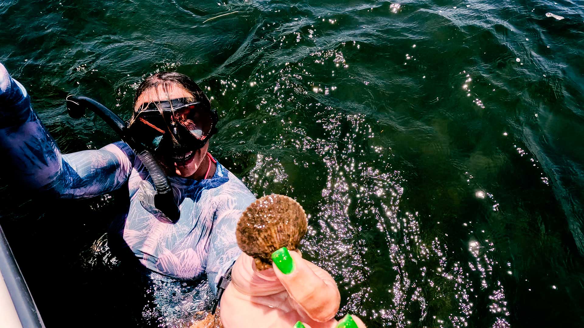 Guide To Scalloping | Harvesting & Preparation Landed Fishing