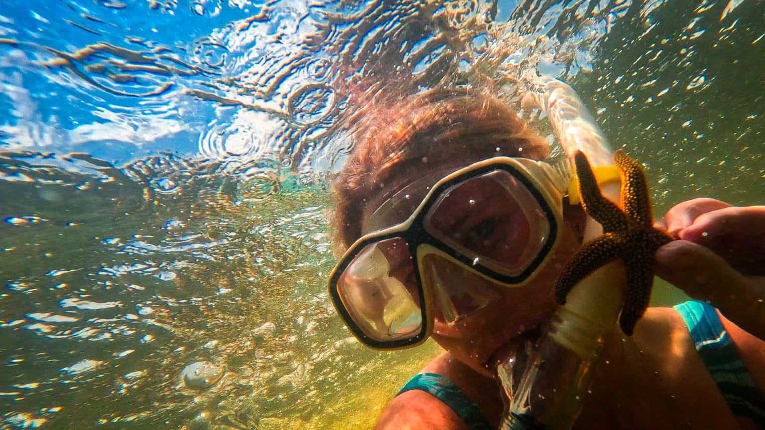 Guide To Scalloping | Harvesting & Preparation Landed Fishing