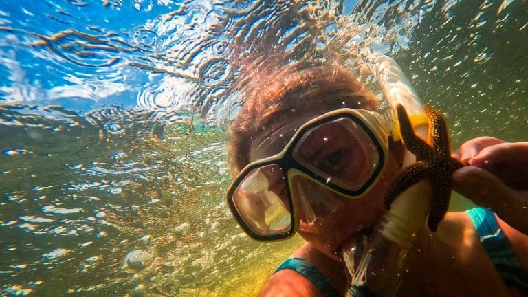 Guide to Scalloping | Harvesting & Preparation Landed Fishing