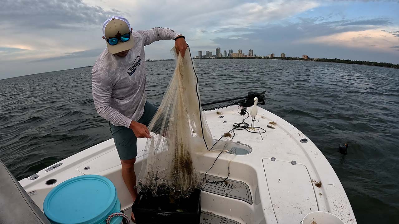 How To Catch Bait With A Cast Net | Landed Fishing