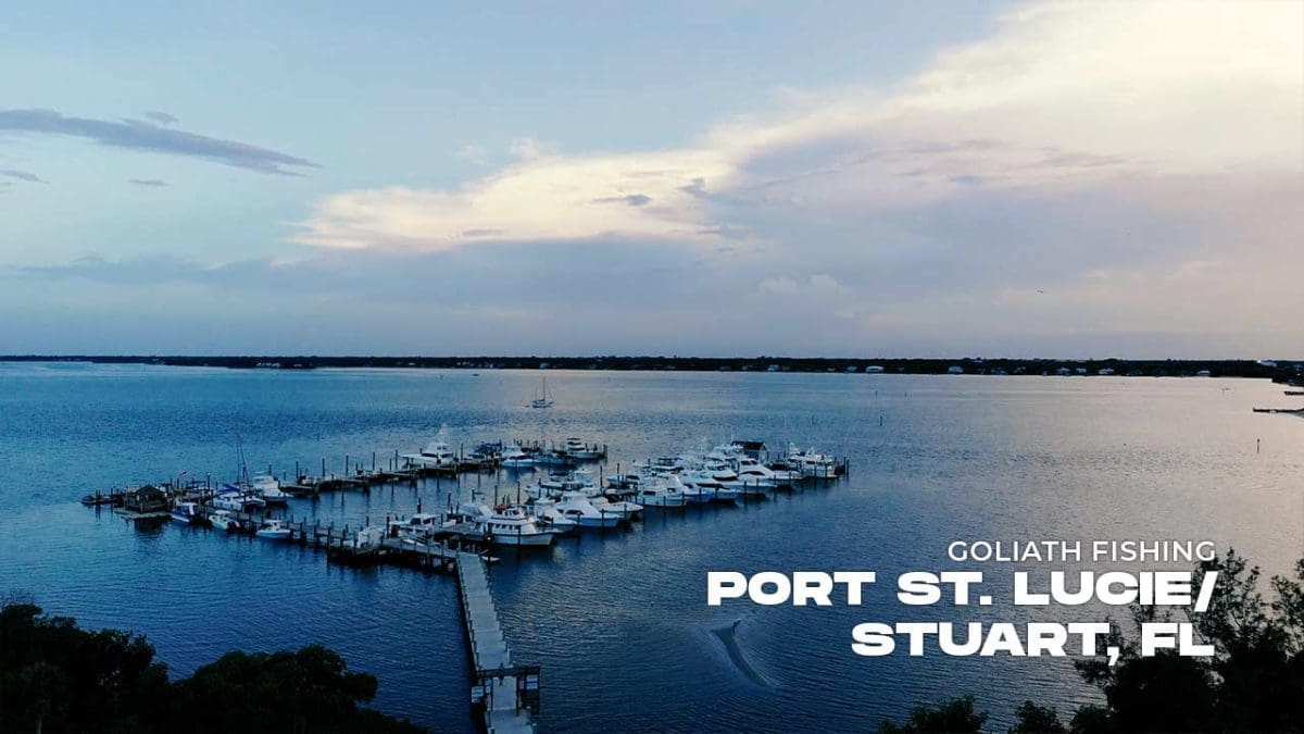 Goliath Grouper Fishing - Stuart Florida, Fishing Atlantic Coast