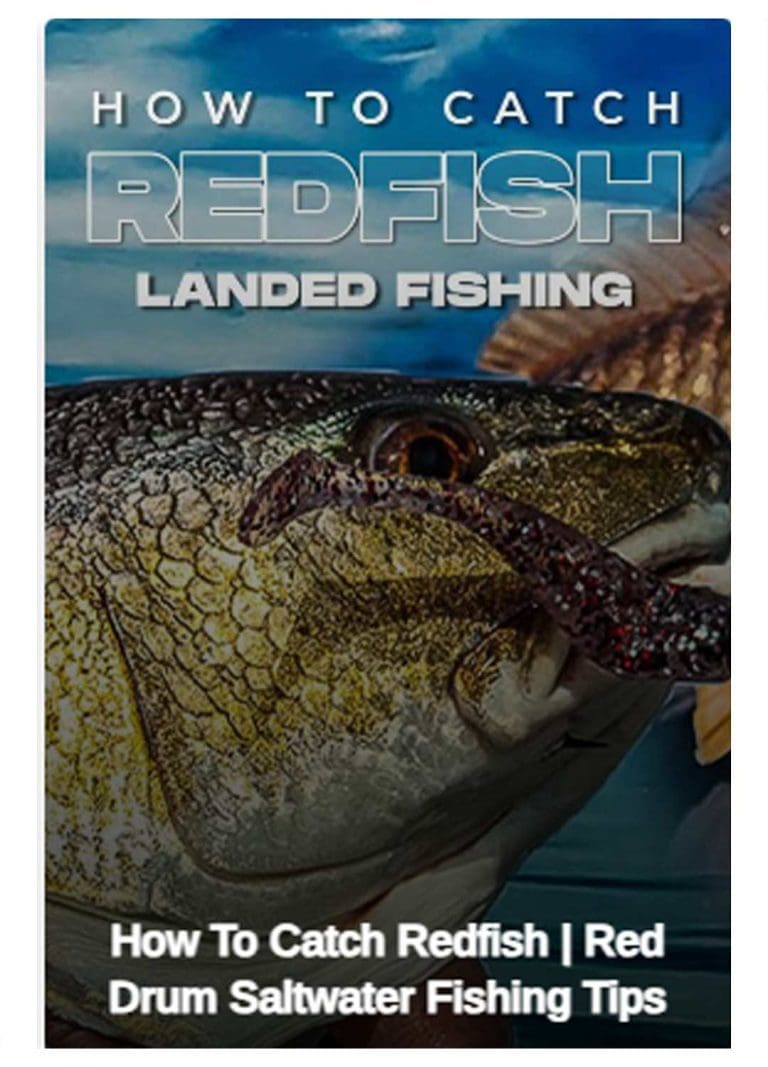 How To Catch Redfish (Red Drum) In The Gulf Of Mexico
