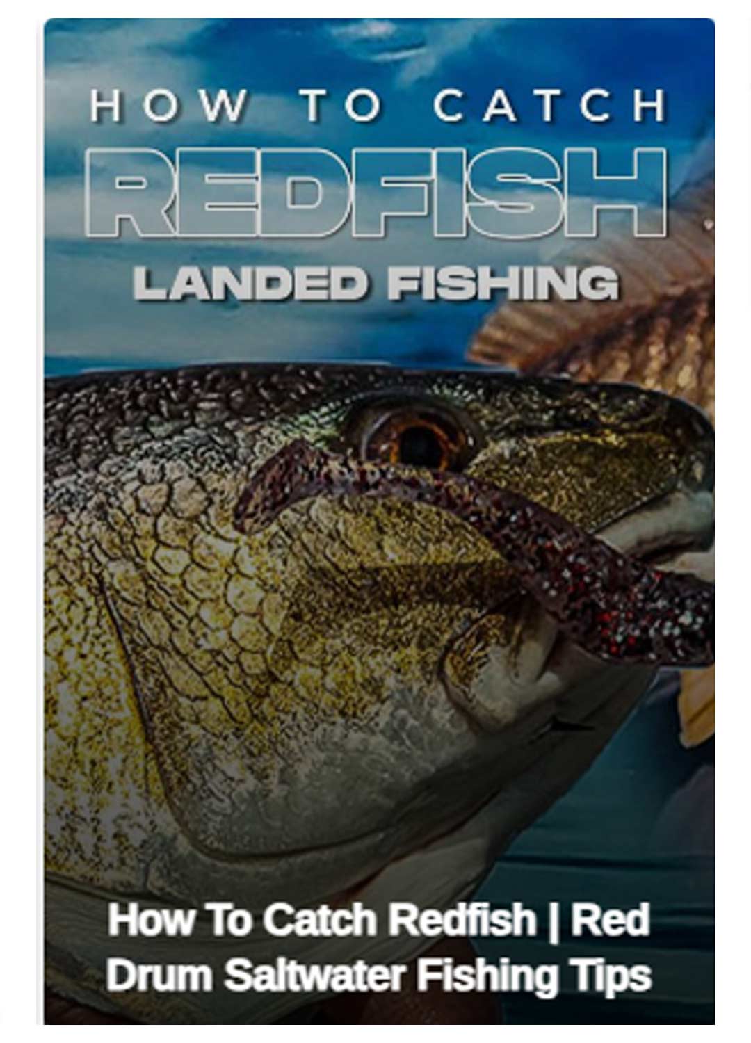 How To Catch Redfish (Red Drum) In The Gulf Of Mexico