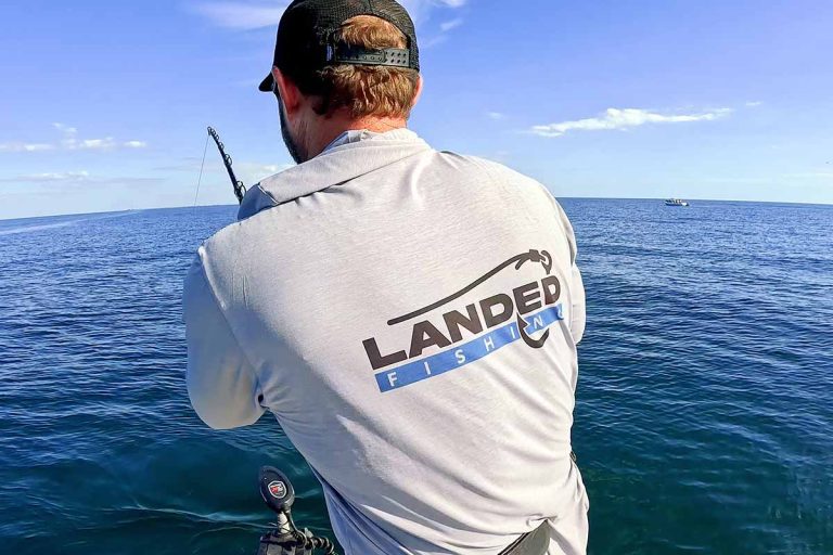 Nearshore Reef Fishing Anna Maria Florida | Shark