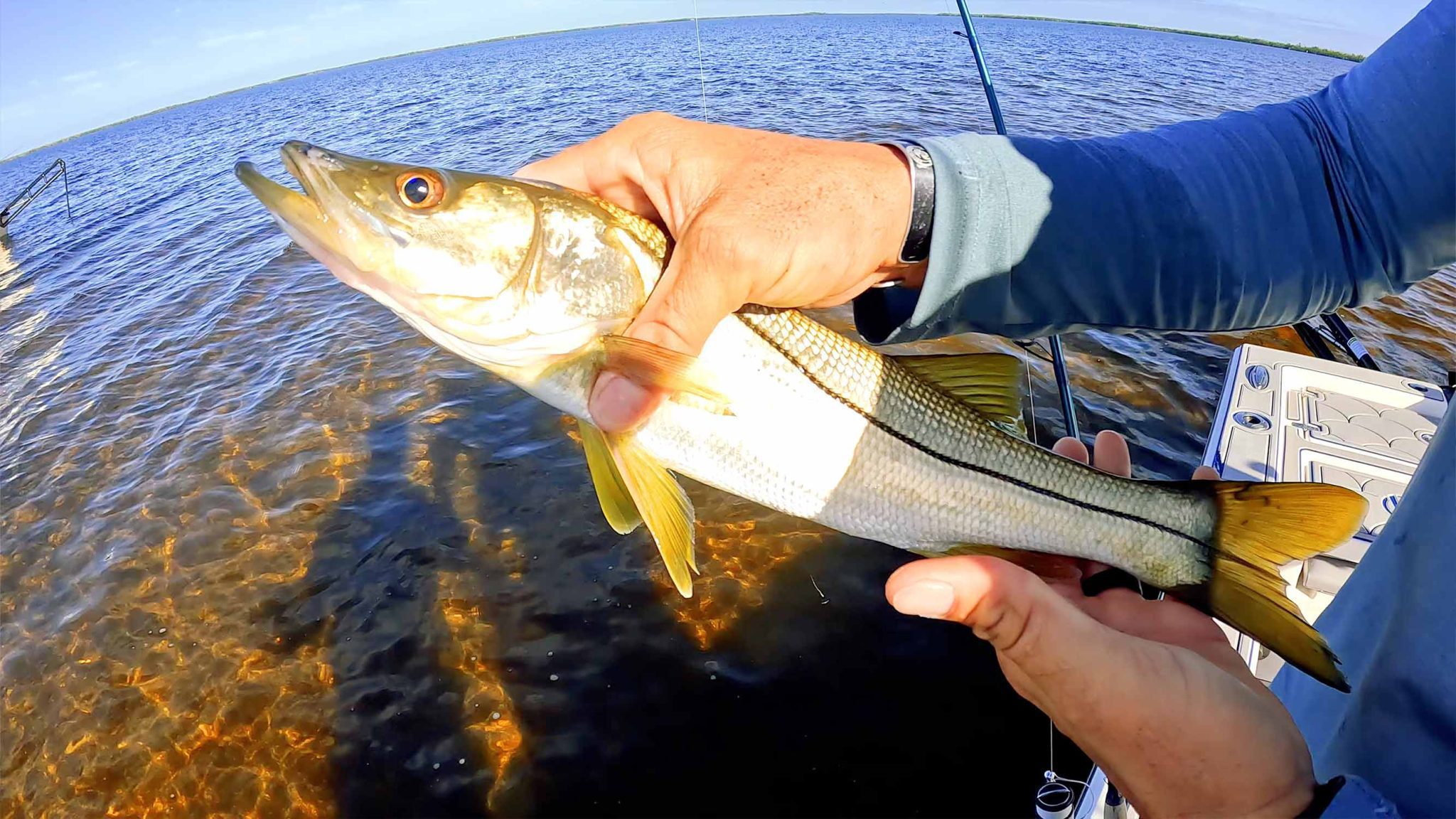 Fishing Boca Grande | Landed Fishing