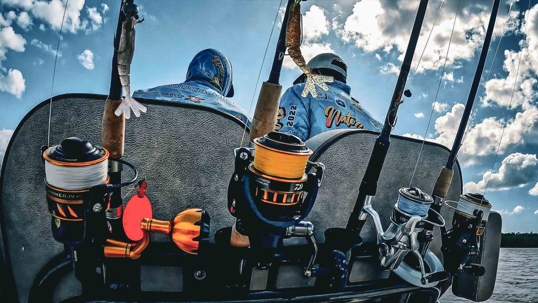 Saltwater Fishing Videos And Fishing Tips | Landed Fishing