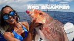 How To Catch Red Snapper | Best Fishing Rigs For Anglers