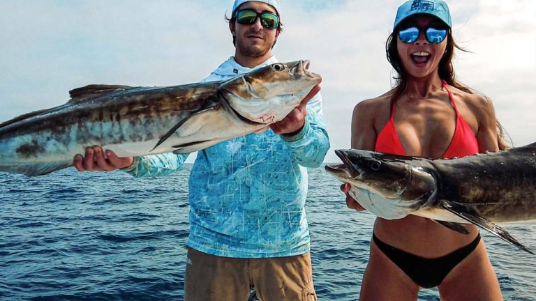 How To Catch Cobia In The Gulf Of Mexico | Landed Fishing