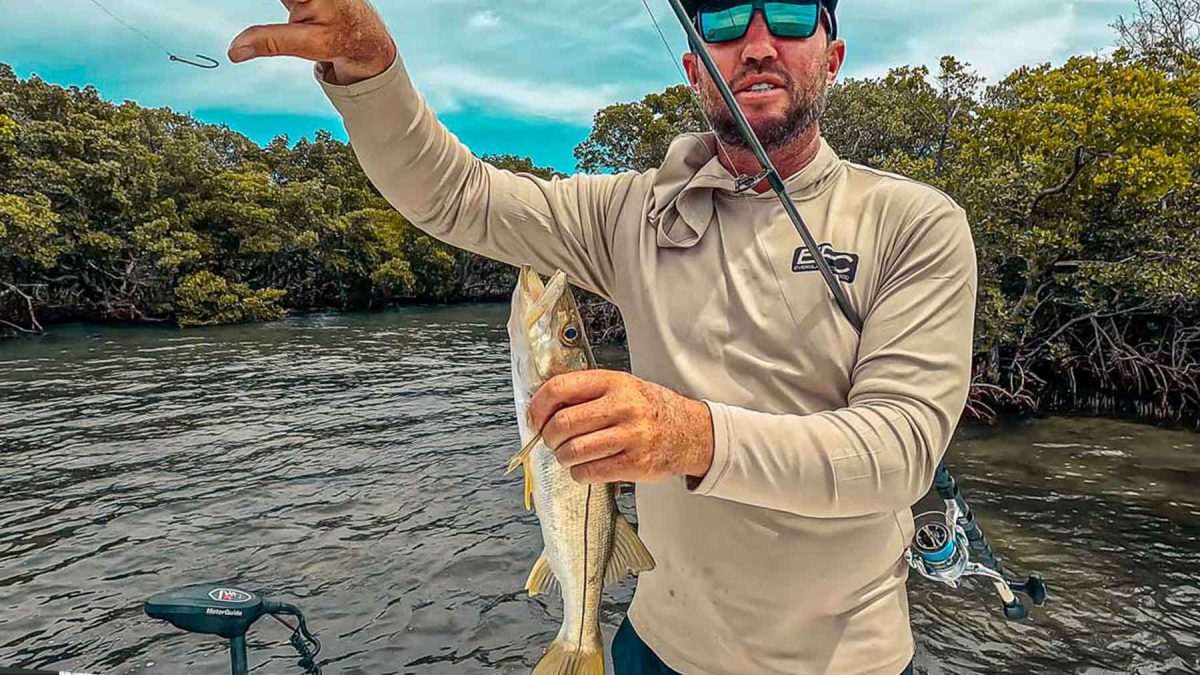 Anna Maria Island Inshore Snook And Redfish | Landed Fishing