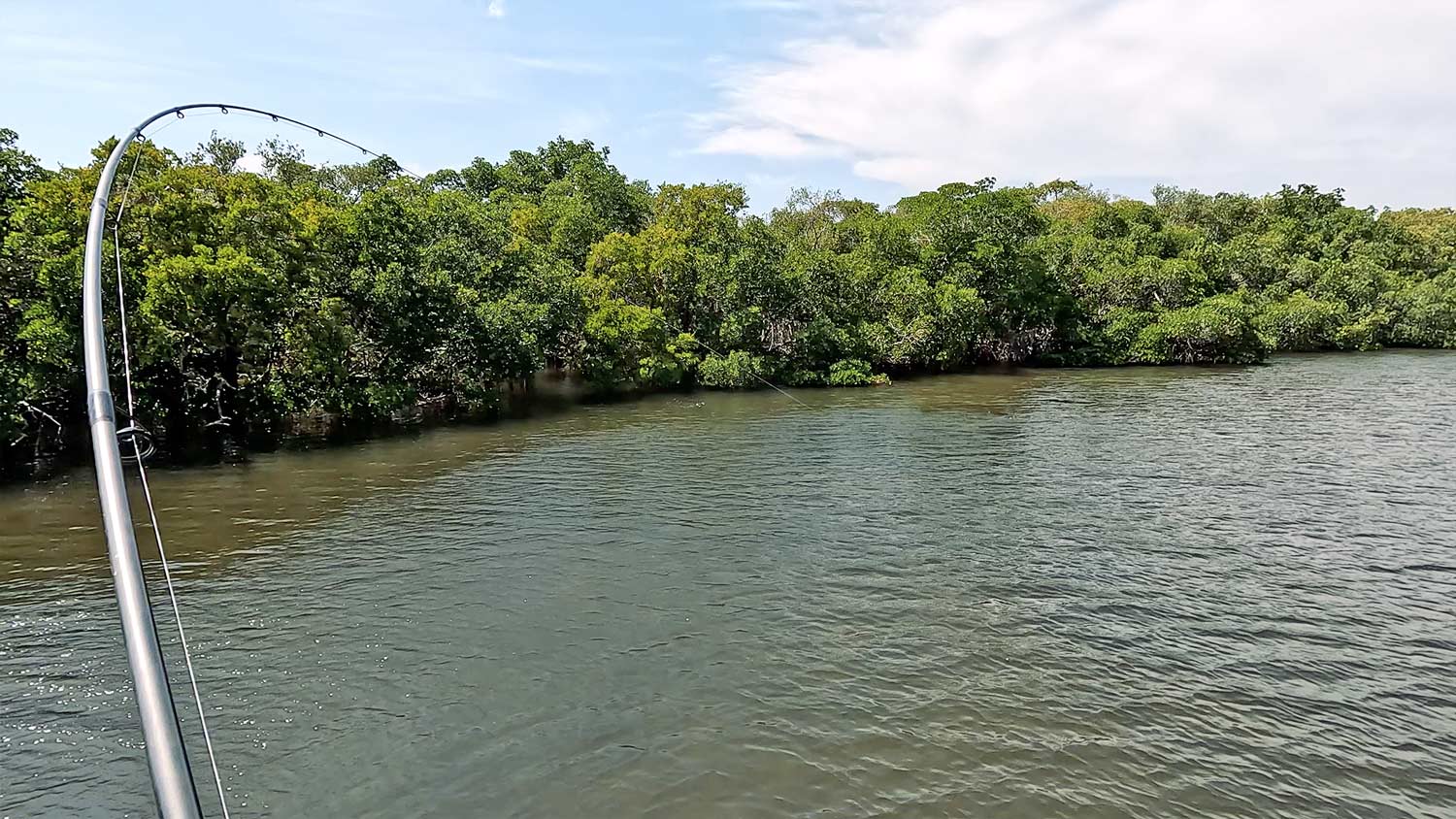 Year-Round Fishing Tampa Florida Skyway Bridge | Landed Fishing