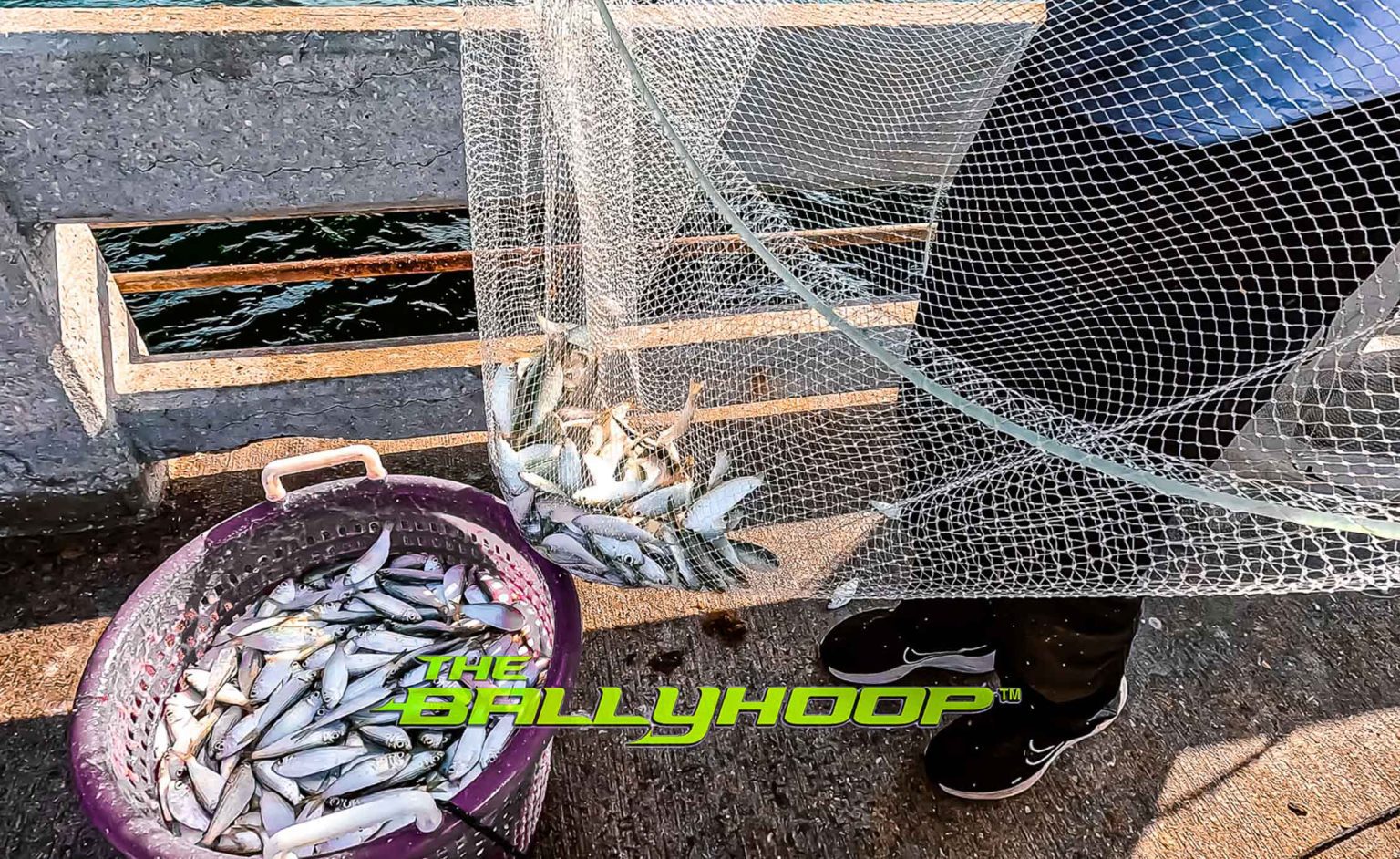 Skyway Bridge Pier Fishing Tips | Landed Fishing