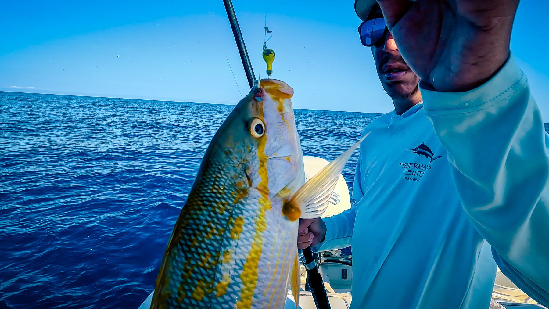 Florida Offshore Fishing Yellowtail Snapper And African Pompano ...