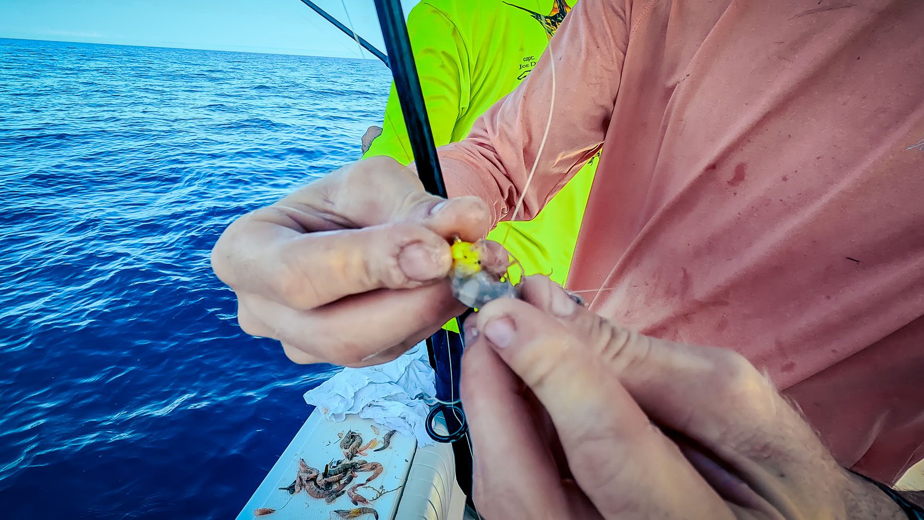 Florida Offshore Fishing Yellowtail Snapper And African Pompano ...