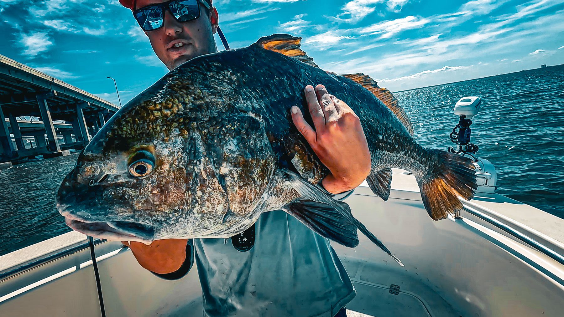 Tampa Florida Bridge Fishing With Crab For Monster Fish | Landed Fishing